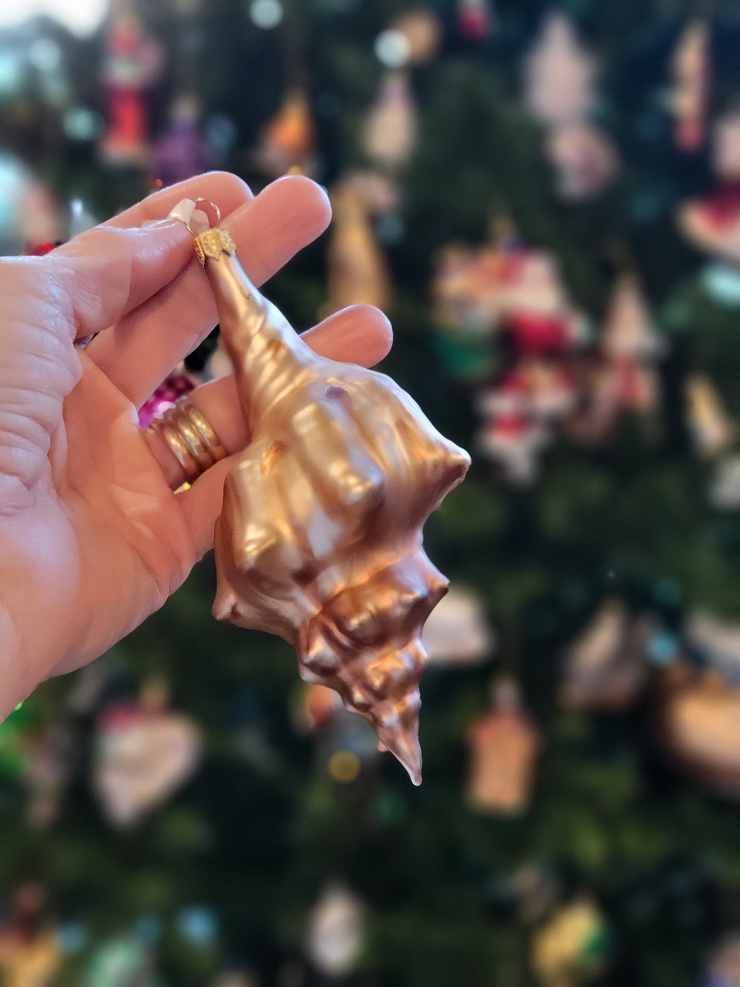 Conch Seashell Ocean Shell Blown Glass Christmas Ornament Decoration - Etsy