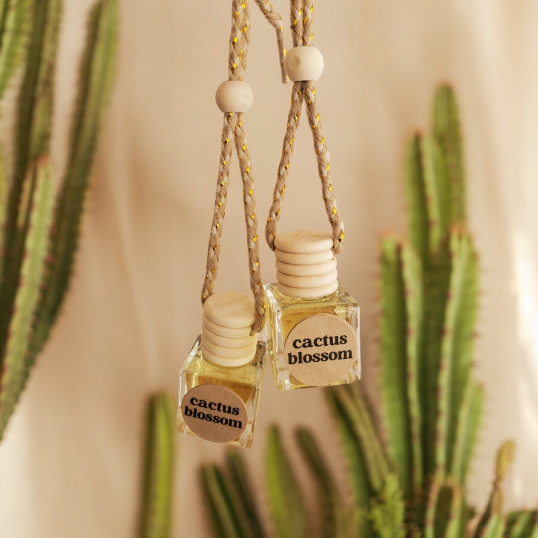 Cactus Flower Car Diffuser | Car Freshener | Floral Scent | Tropical ...