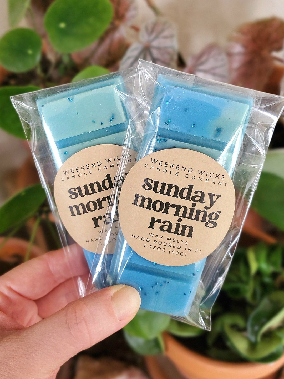 Rain Wax Melt | Clean Wax Melt | Spring Wax Melt | Fresh Scent | Gift ...