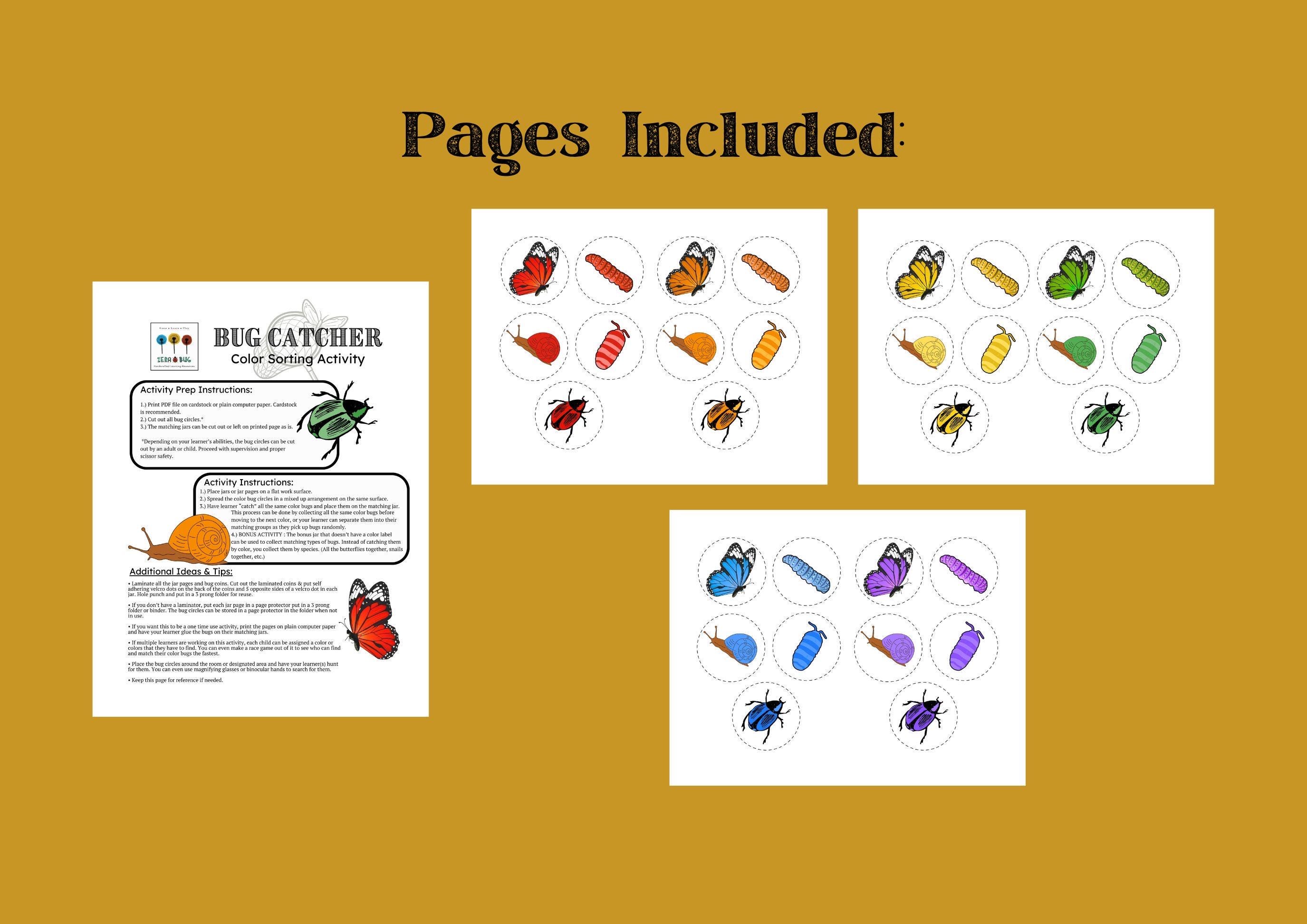 Bug Catcher Preschool Kindergarten Activity Printable Cut & Paste ...