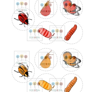 Bug Catcher Preschool Kindergarten Activity Printable Cut & Paste ...