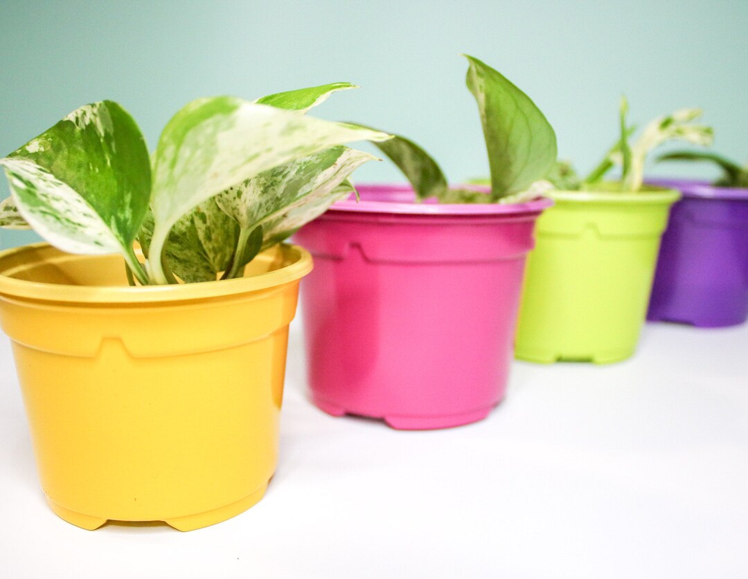 10.5 Cm Coloured Yellow Nursery Plant Pot,indoor Planter, Small Pot ...