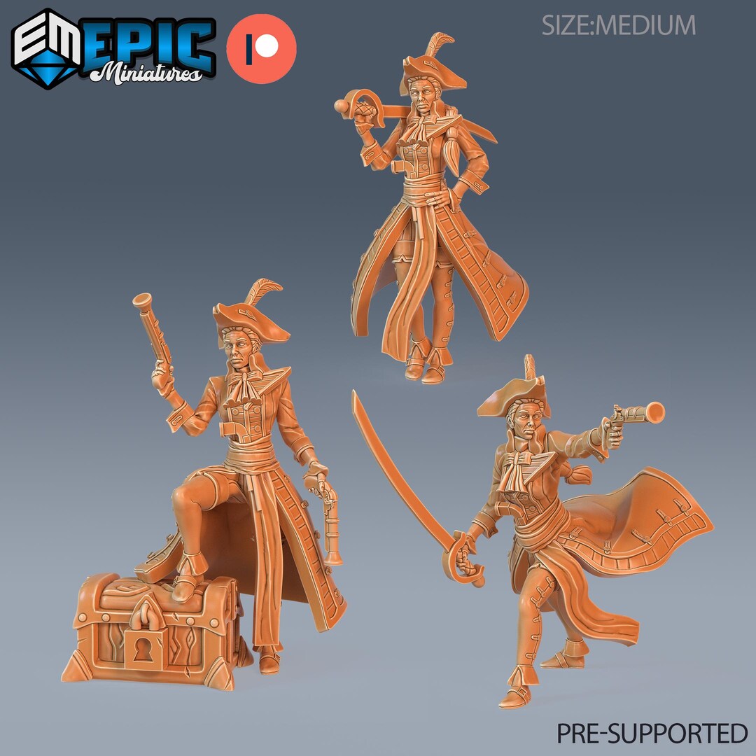 Veteran Captain DND Miniatures Treasure Hunt Collection Dungeons and ...