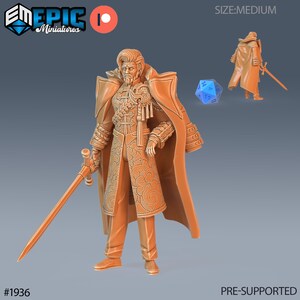 Marine Admiral DND Miniatures Treasure Hunt Collection Dungeons and ...