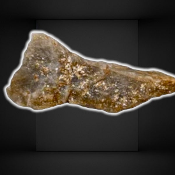 Animal Rock Art - Etsy