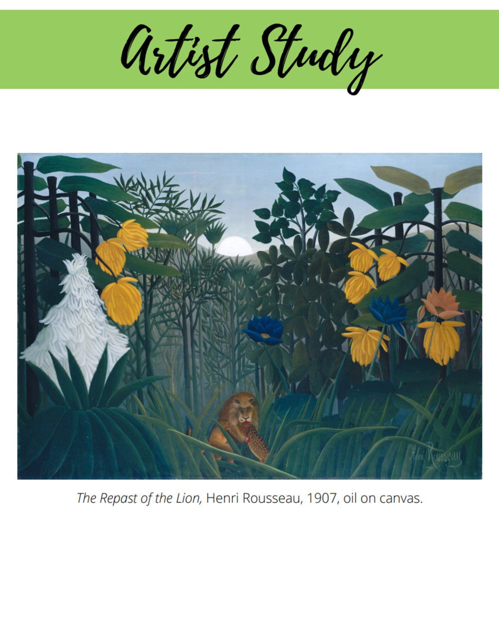 Rainforest Unit Study | K-5 Unit Study | Homeschool - Etsy