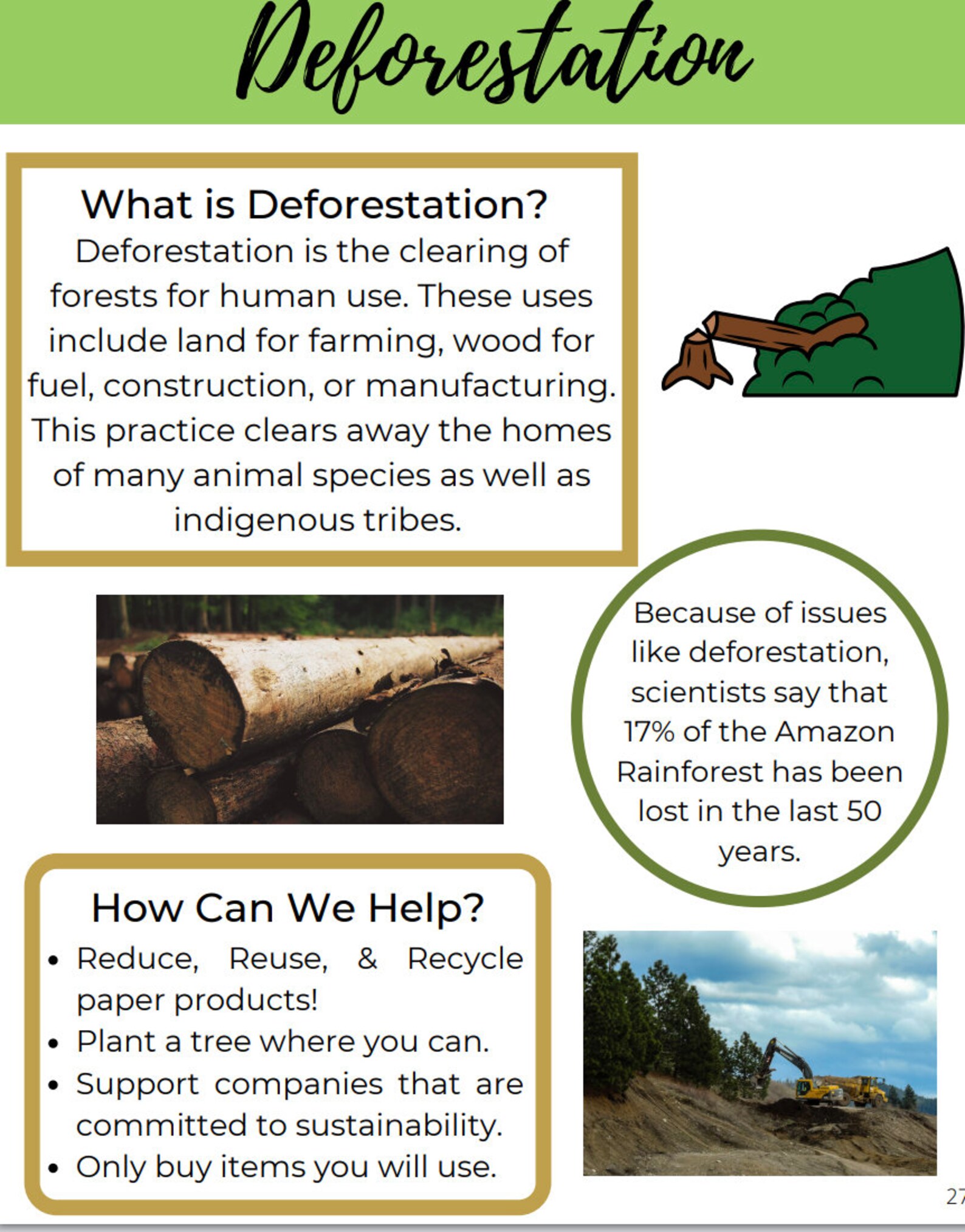 Rainforest Unit Study | K-5 Unit Study | Homeschool - Etsy