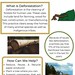 Rainforest Unit Study | K-5 Unit Study | Homeschool - Etsy