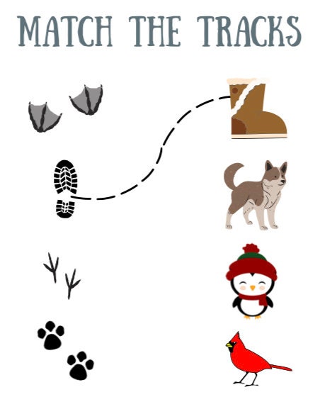 Winter Early Learning Activity Pack Preschool & Kindergarten Activities ...