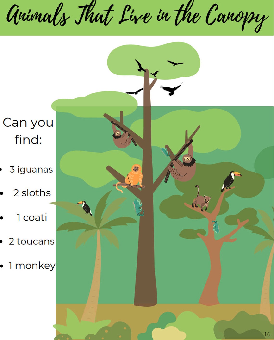 Rainforest Unit Study | K-5 Unit Study | Homeschool - Etsy