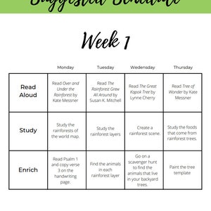Rainforest Unit Study | K-5 Unit Study | Homeschool - Etsy