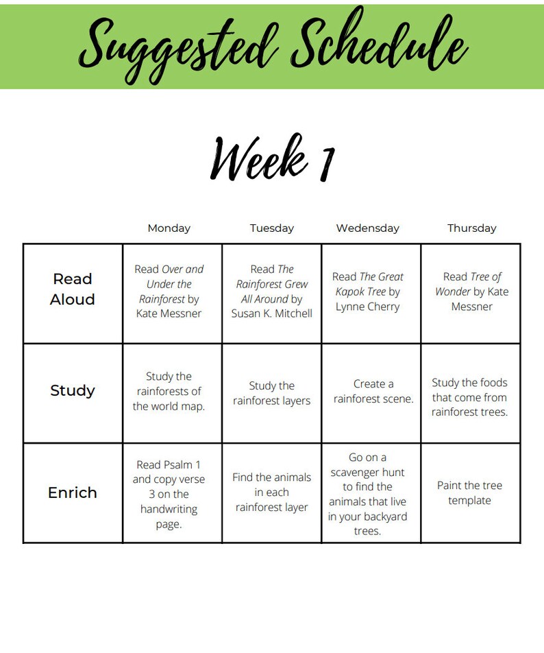 Rainforest Unit Study | K-5 Unit Study | Homeschool - Etsy