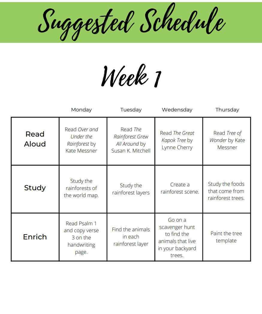 Rainforest Unit Study | K-5 Unit Study | Homeschool - Etsy