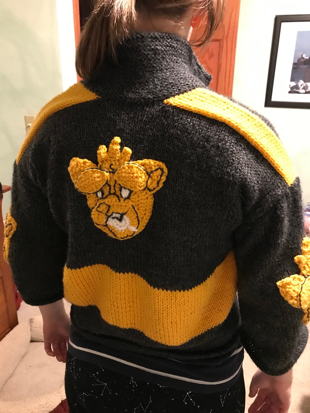 Drayton's Jacket - Pokémon Scarlet and Violet BB League Knitted Cosplay ...