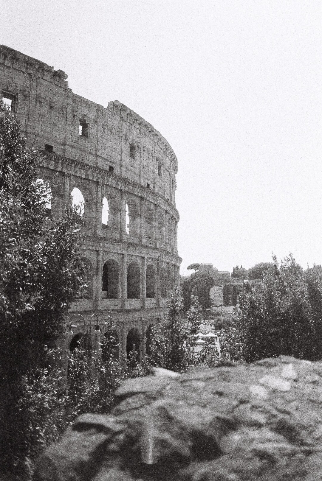 Roman Colosseum Digital Print File - Etsy