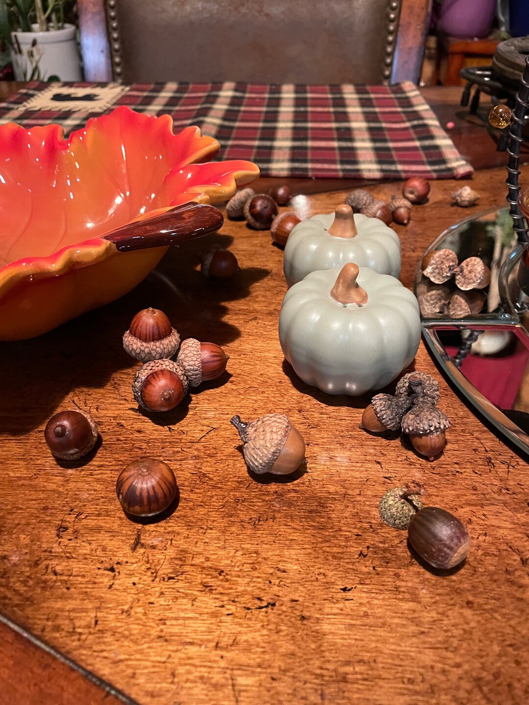 New 100 Fall Decor & Crafting Fresh 2023 Acorns White Black Red Oak ...