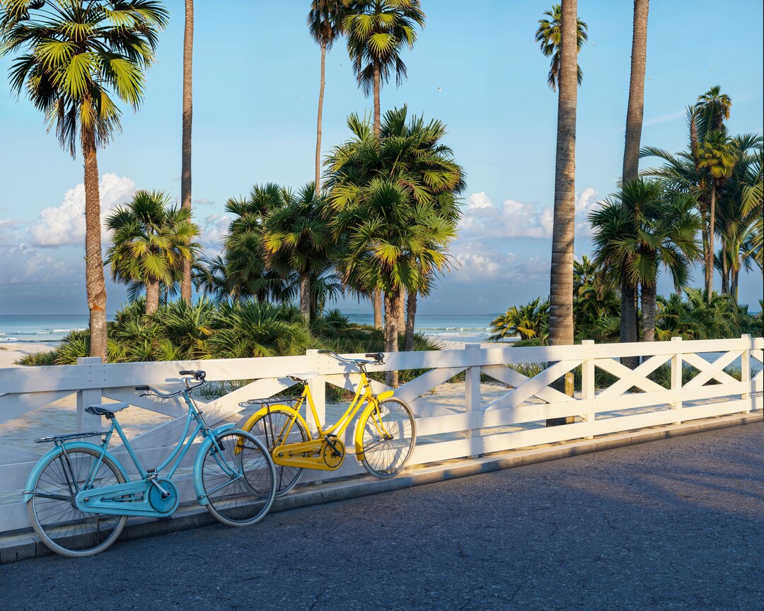 PDF Download, DIY Crossbuck Fence Building Guide, Step-by-step Plans ...