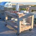 Rolling Grill Table Plan, BBQ Prep Station, PDF Download - Etsy