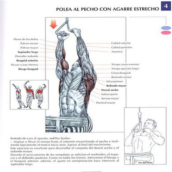 Triceps Workout Poster