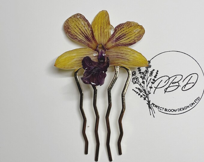 Real Hawaiian Orchid Flower Hair Comb Pin, Preserved Flowers, Dried ...