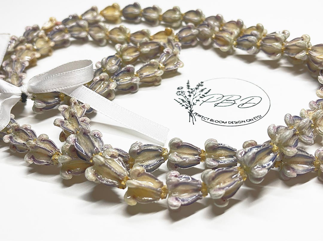 Real Hawaiian Crown Flower Lei, Puakalaunu, Preserved Flowers, Dried ...