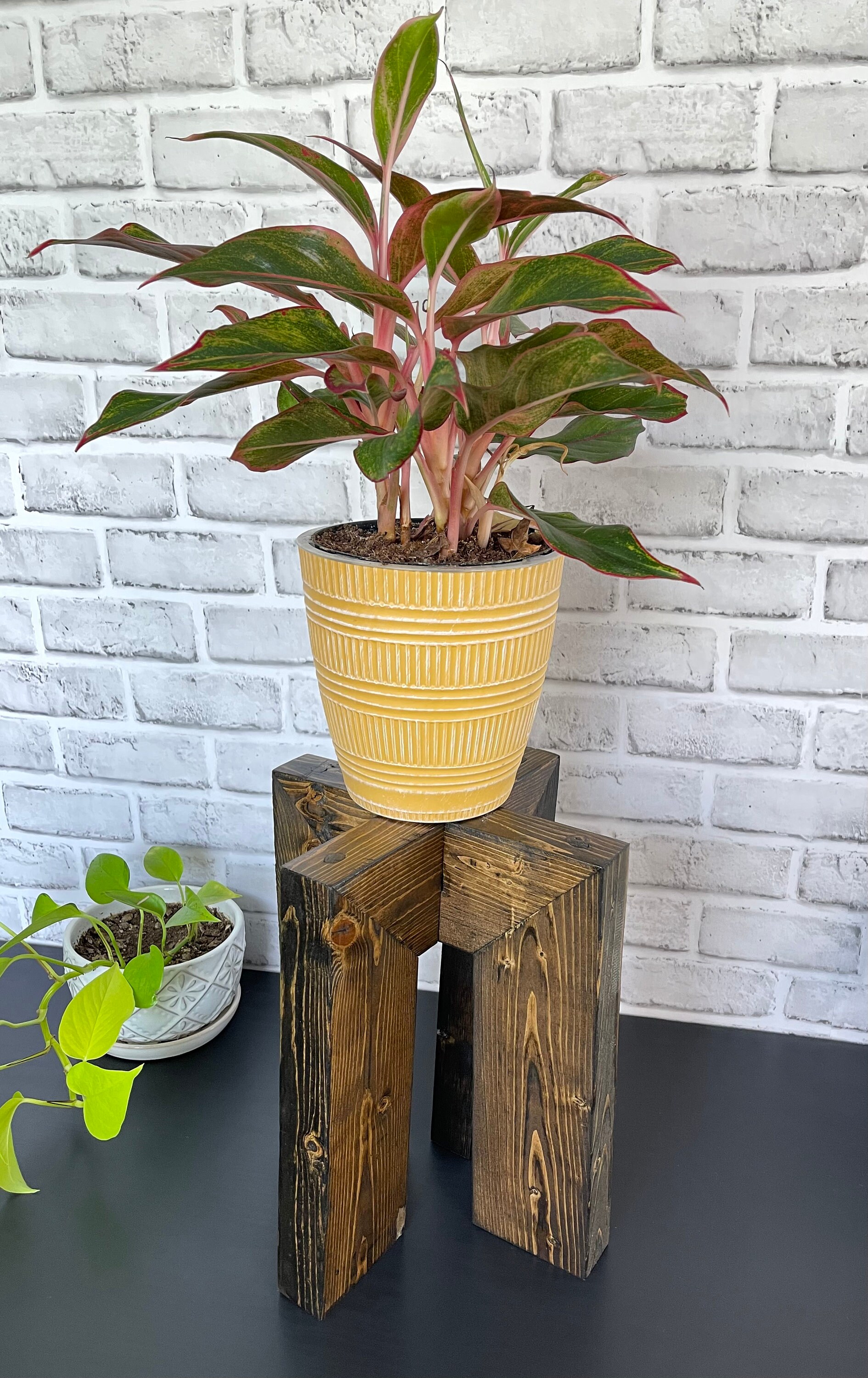 Wooden Plant Stand, Plant Stand - Etsy