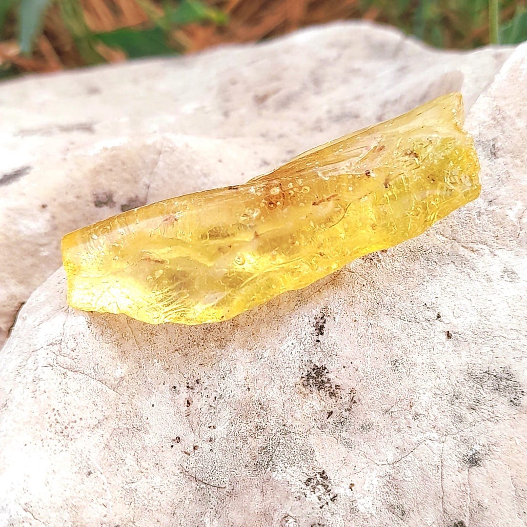 Amber With Insects. Raw Amber With Insects Inside. Young Amber With ...