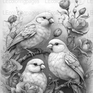 Adult Coloring Page, Grayscale Birds and Flowers, Printable Relaxing ...
