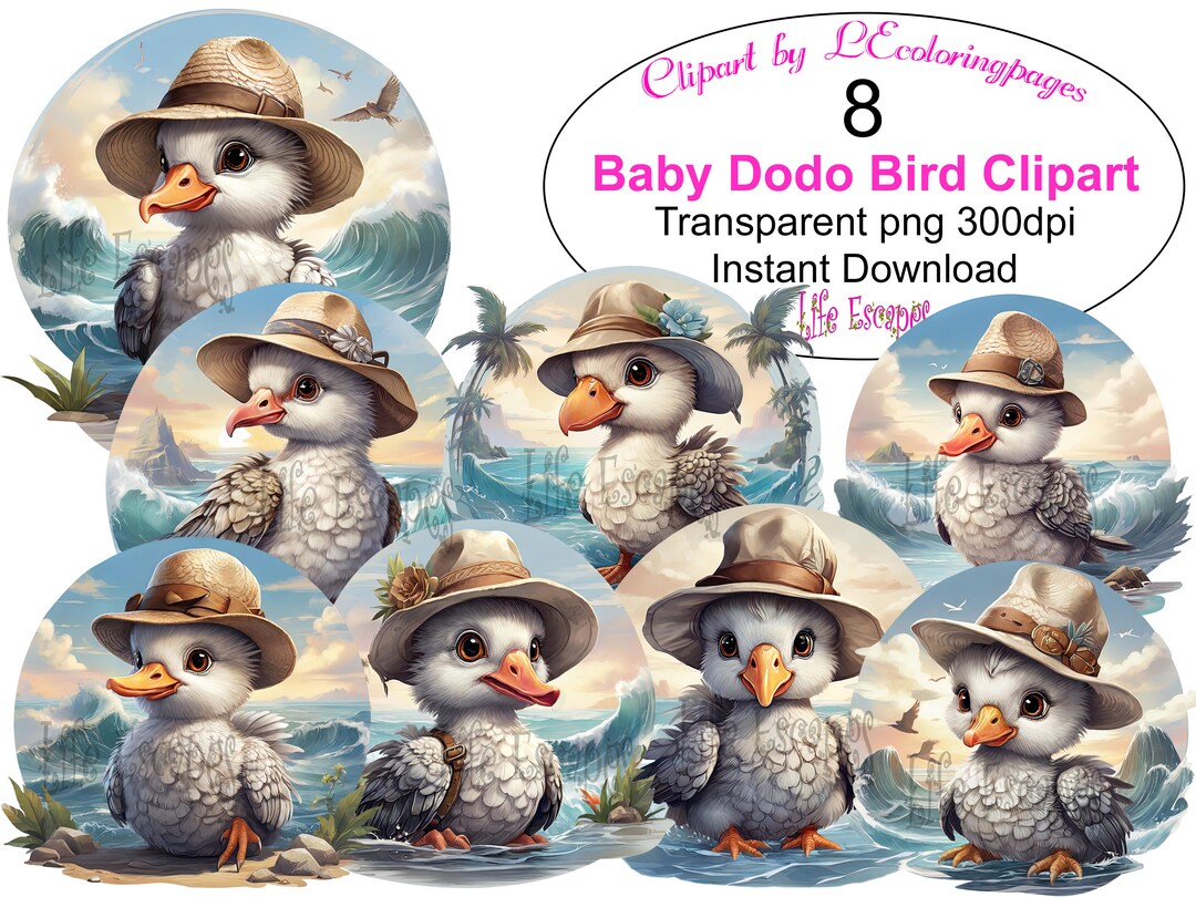 Baby Dodo Bird Clipart Set, Cute Illustrated Birds, Commercial Use ...