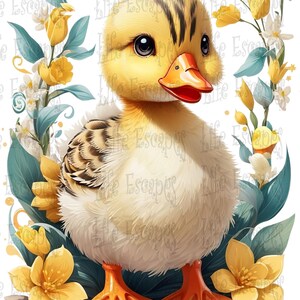 Printable Cute Baby Duck Clipart Bundle - Set #5, PNG, Commercial Use ...