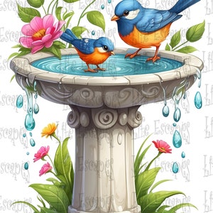 Watercolor Bird Bath Clipart Set, Garden Birds Illustration (digital ...