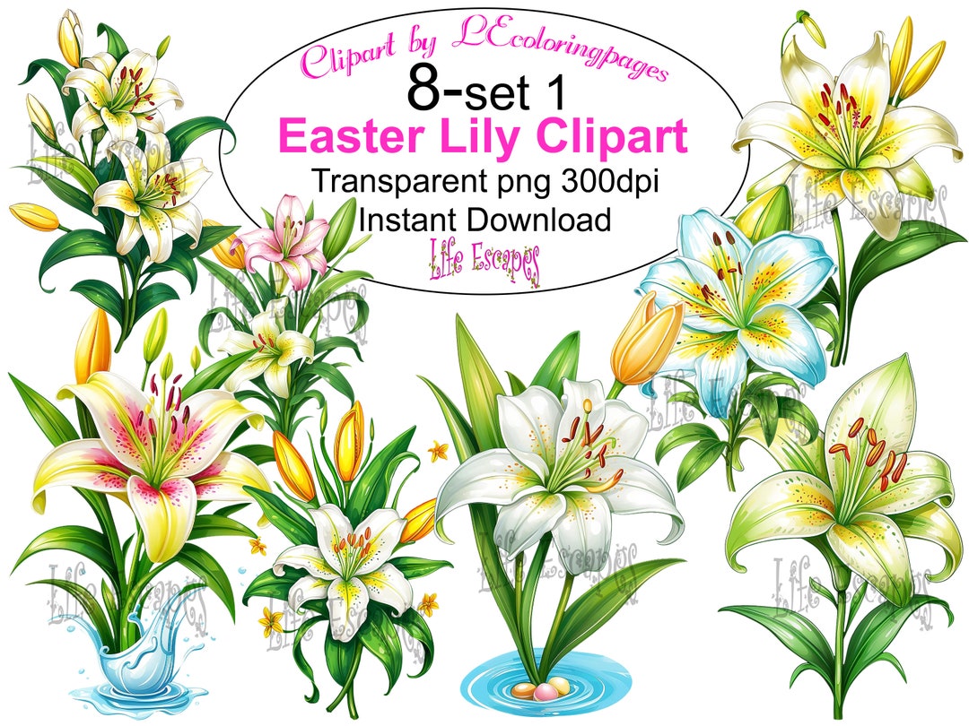 Printable Easter Lily Clipart Bundle - Set #1, PNG, Commercial Use ...