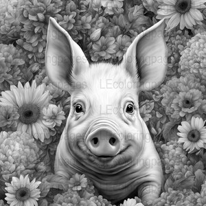 Pig Grayscale Coloring Page, Floral Adult Coloring Printable, Digital ...