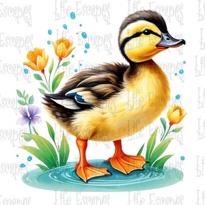 Printable Cute Baby Duck Clipart Bundle - Set #2, PNG, Commercial Use ...