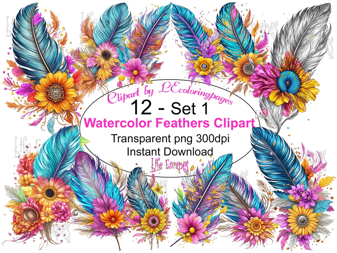Printable Floral Feathers Clipart Bundle - Set #1, PNG, Commercial Use ...