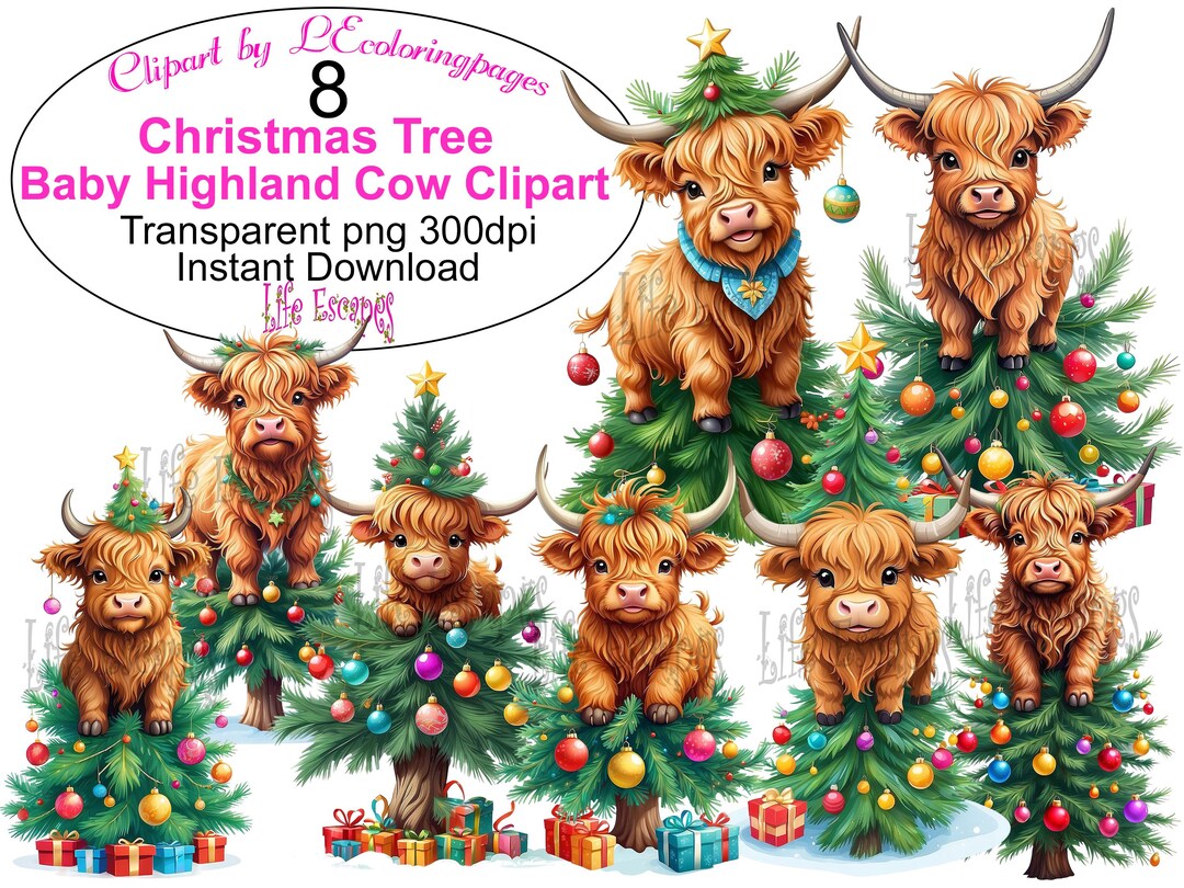 Christmas Tree Baby Highland Cow Clipart 8 PNG Bundle Transparent 300 ...
