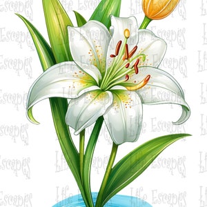 Printable Easter Lily Clipart Bundle - Set #1, PNG, Commercial Use ...