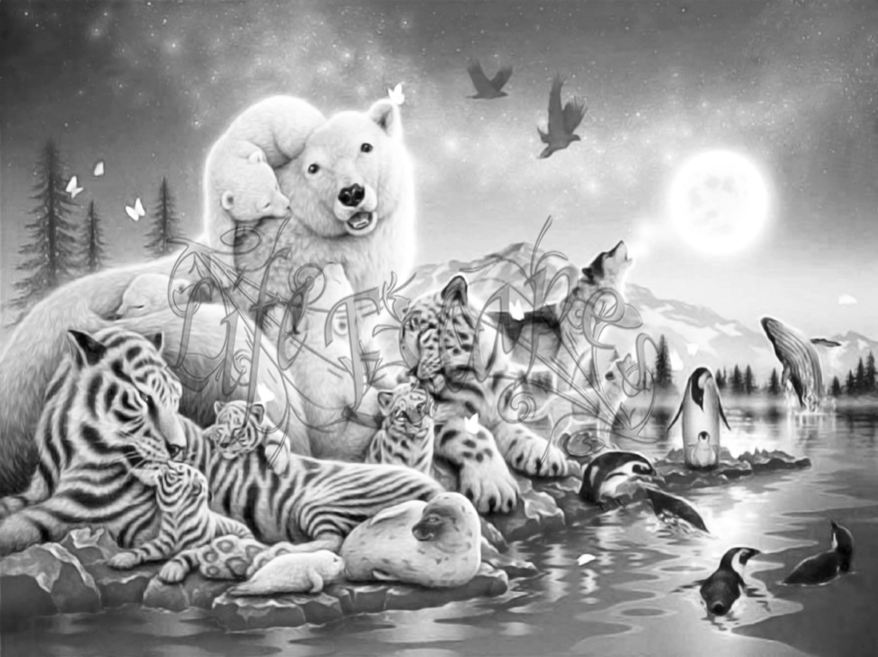 Coloring Page Fantasy Grayscale High Resolution Printable - Etsy