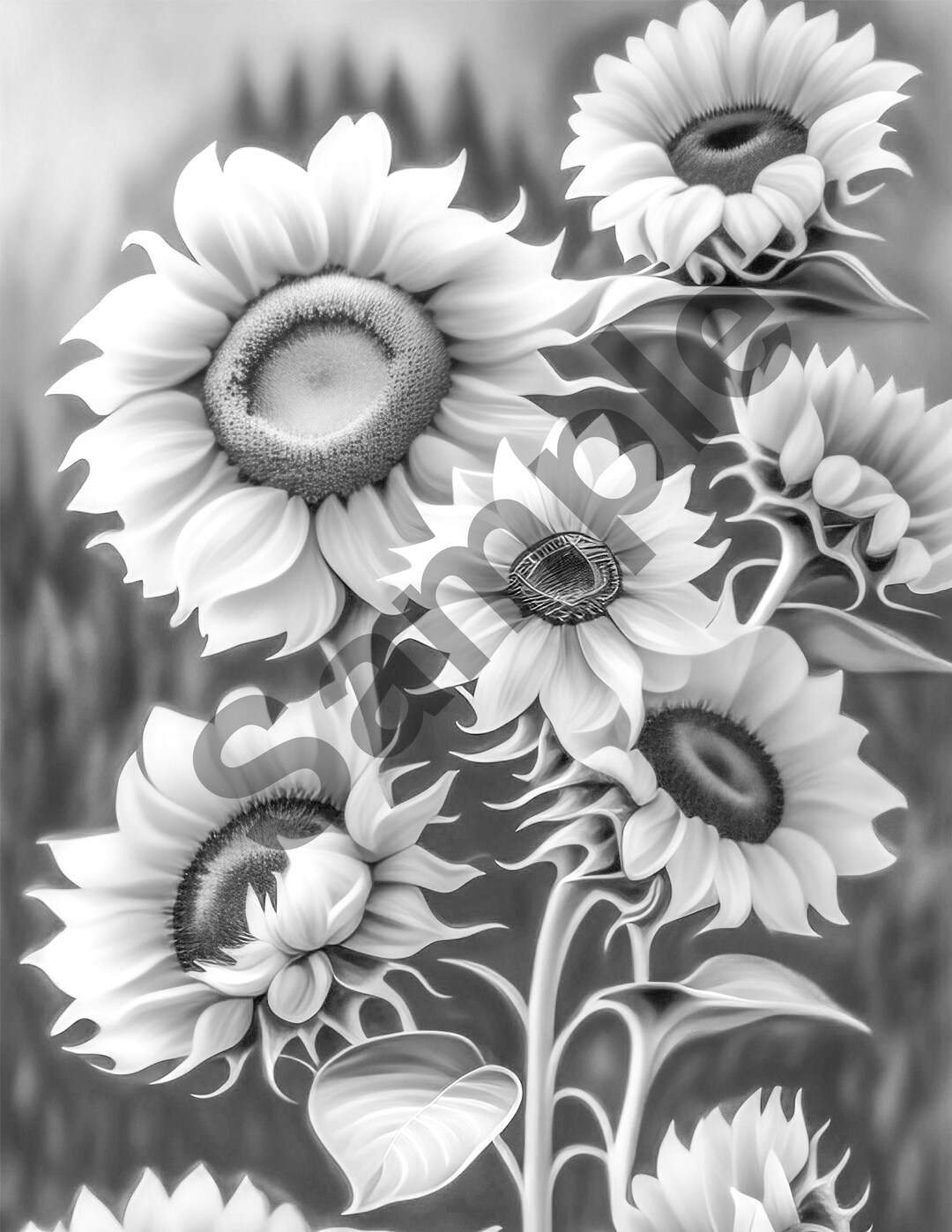 Sunflower Coloring Page for Adults Grayscale High Resolution Printable ...