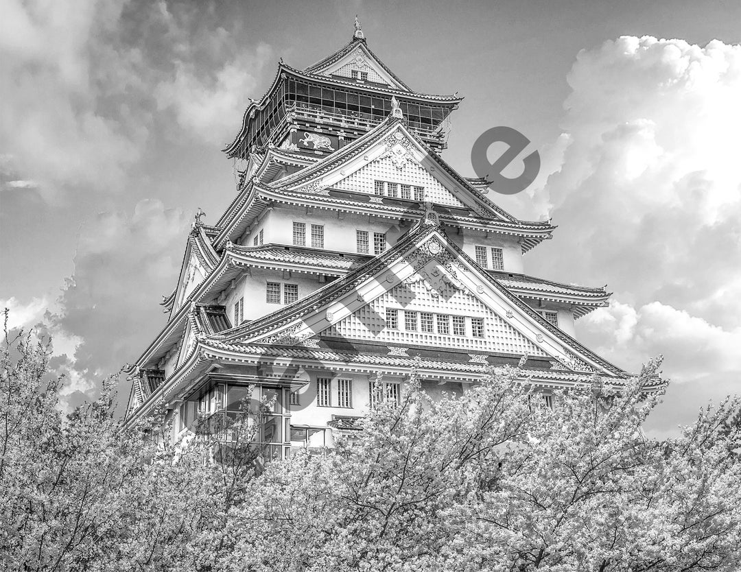 Oriental Fantasy Coloring Page for Adults Grayscale High Resolution ...