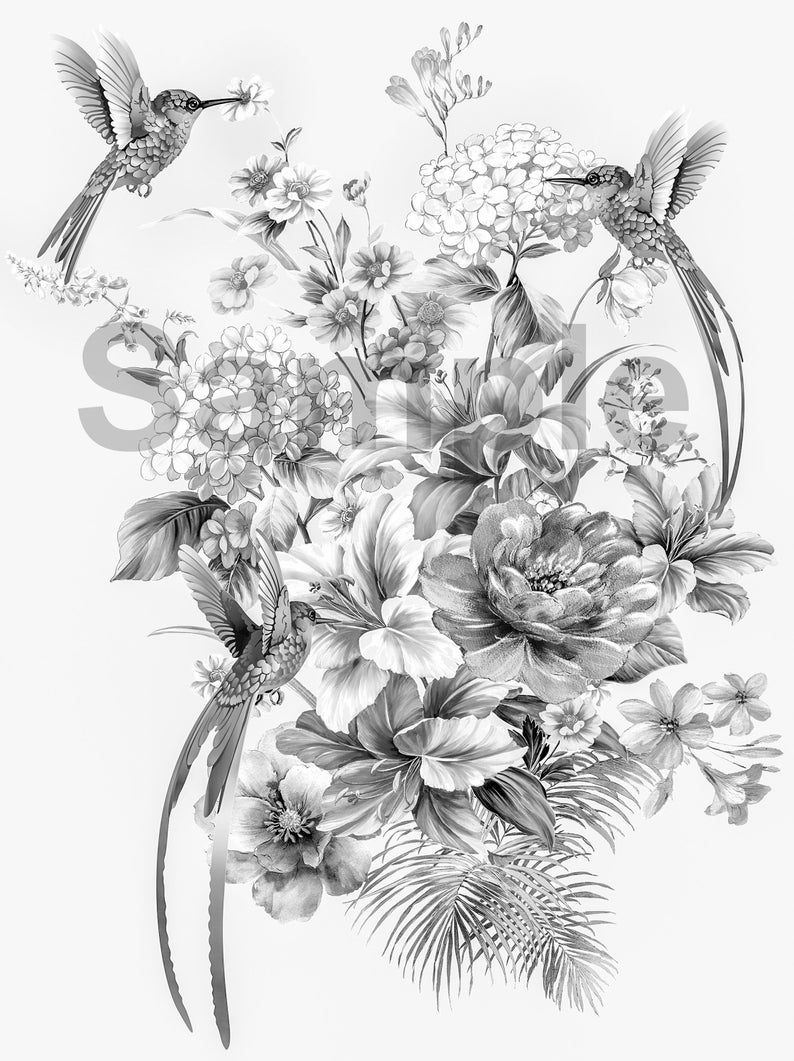 Coloring Page Hummingbirds Grayscale High Resolution Printable Single ...