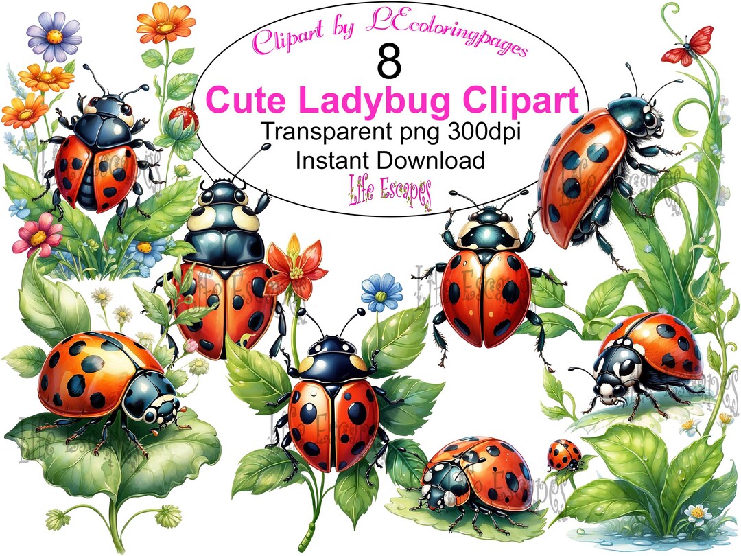Cute Ladybug Clipart Instant Download 8 PNG Files Commercial Use POD ...