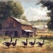 Farm Country Grayscale Coloring Page, Rustic Barn & Geese, Printable ...