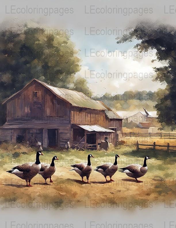 Farm Country Grayscale Coloring Page, Rustic Barn & Geese, Printable ...
