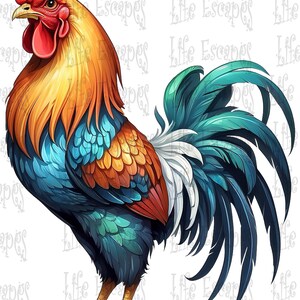 Colorful Rooster Clipart Set, Instant Download, Commercial Use, POD Use ...