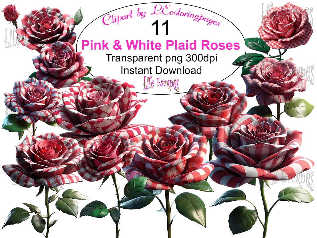 Pink and White Plaid Roses Clipart, Floral Commercial Use Graphics ...