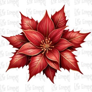 Christmas Flower Clipart Set, Transparent PNG Clipart, 8 Designs ...
