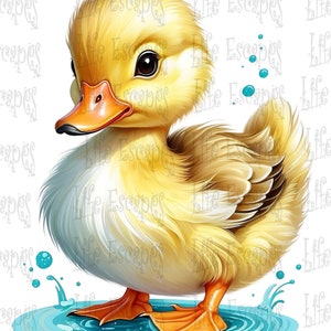 Printable Cute Baby Duck Clipart Bundle - Set #2, PNG, Commercial Use ...