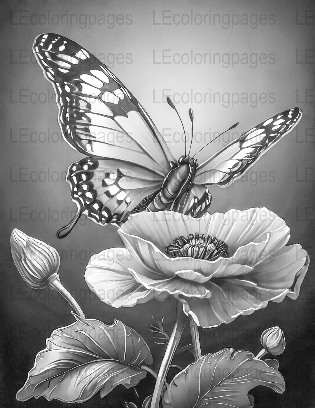 Grayscale Butterfly Coloring Page for Adults, Printable Relaxing Nature ...