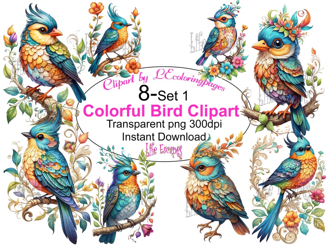 Printable Colorful Bird Clipart Bundle - Set #1, PNG, Commercial Use ...